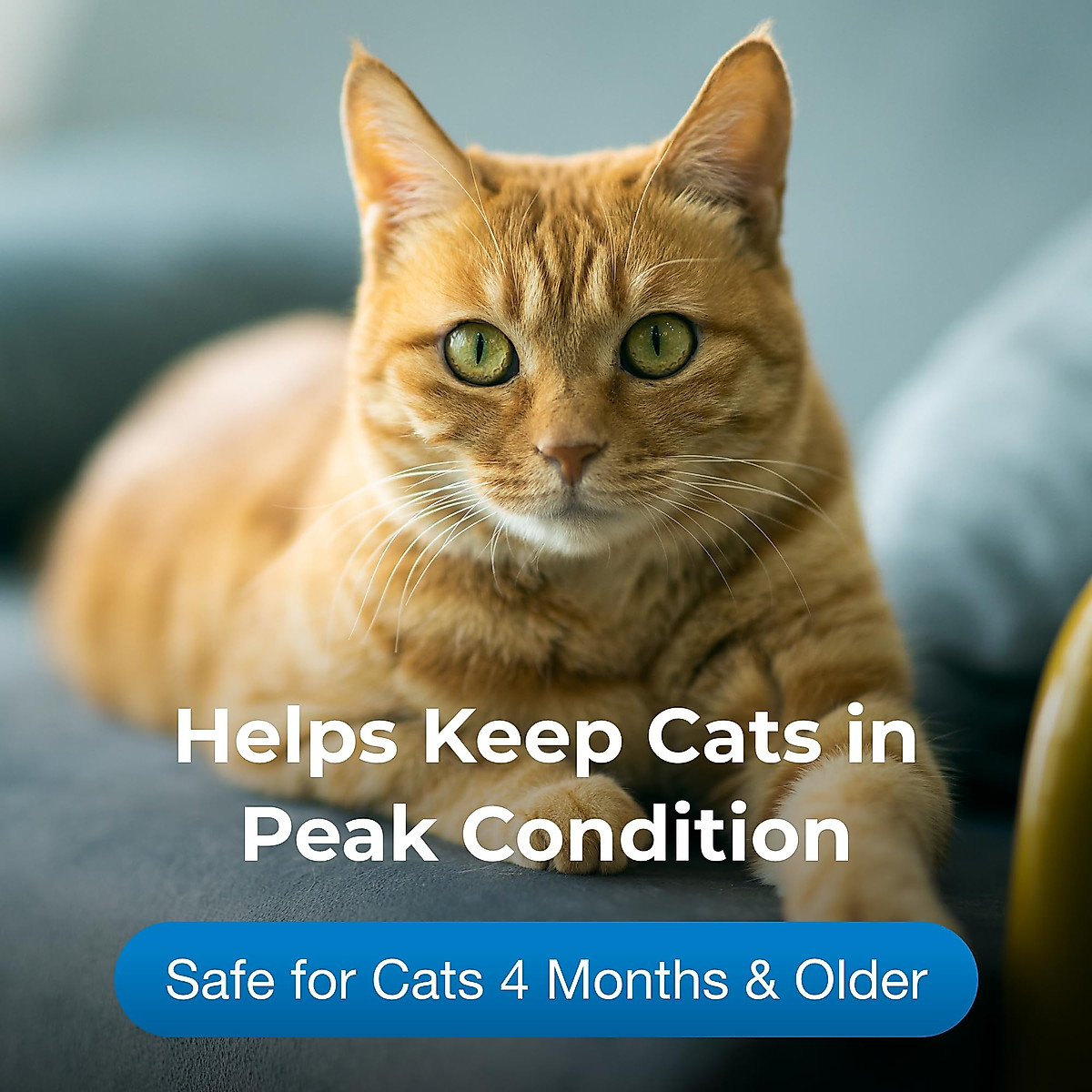 Pet-Ag Vitamin & Mineral Gel Supplement for Cats - 3.5 oz - Provides Basic Daily Vitamins & Minerals for Cats 4 Months and Older - Easy to Digest