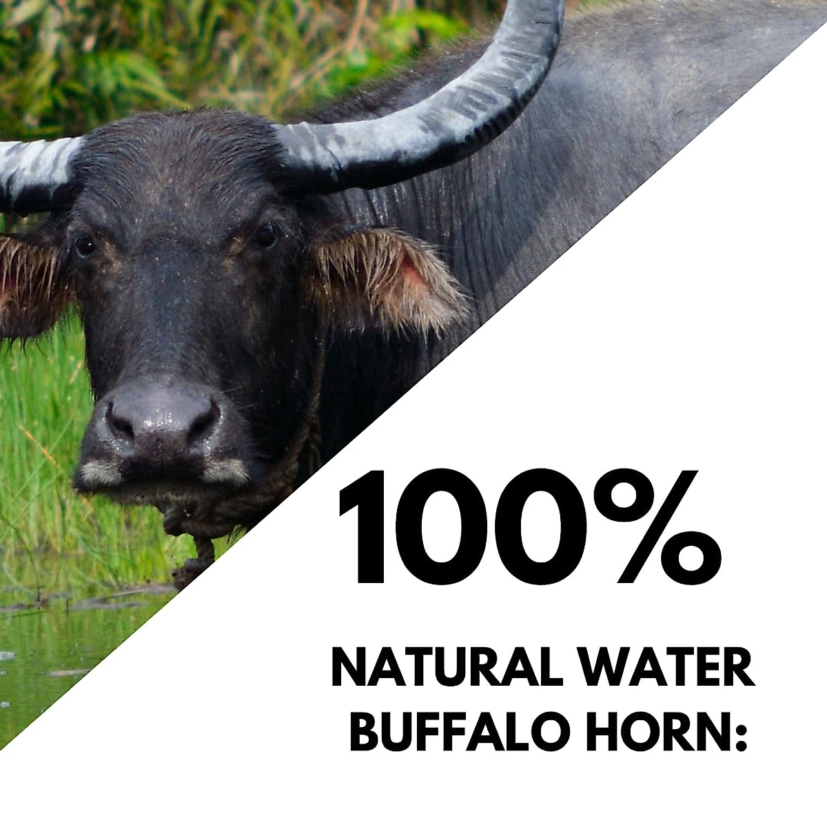 WhiteTail Naturals - Water Buffalo Horns for Dogs (Monster XX-L) All-Natural Dog Bone - Long Lasting Chew Toy for Aggressive Chewers and Teething Puppies