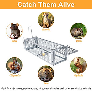 Humane Rat Trap, Large 2-Door Mouse Traps That Work for Indoor Home and Outdoor, Small Rodent Chipmunk Squirrel Trap and Other Live Animal Cage Catch and Release