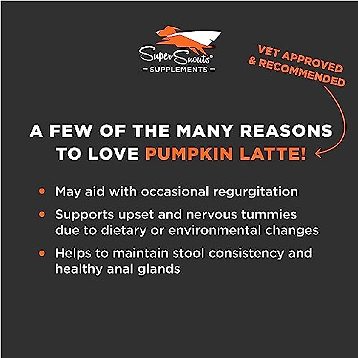 Diggin's Your Dog Super Snouts Pumpkin Latte Digestive Supplement for Dogs and Cats, 5 Ounce - Antibiotic Free, Maintains Healthy Gut, Promotes Stool Consistency