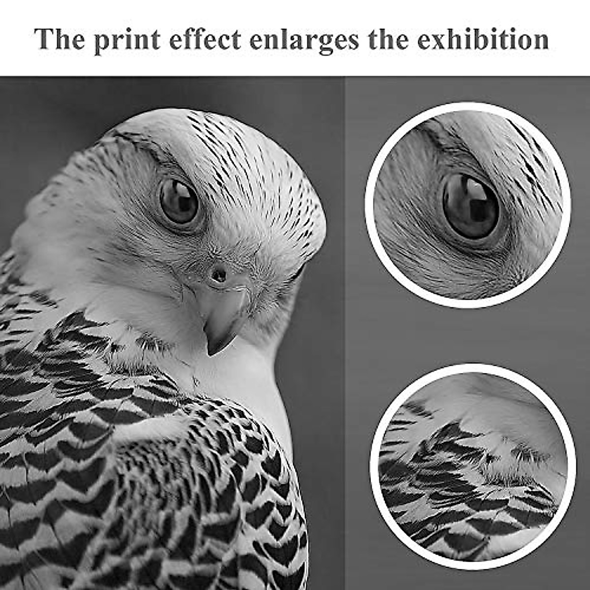 1 Black DR221CL Drum Unit Replacement for Brother HL-3140CW 3150CDN 3170CDW 3180CDW 9130CW 9140CDN 9330CDW 9340CDW 9015CDW 9020CDN Printer,Sold by TopInk