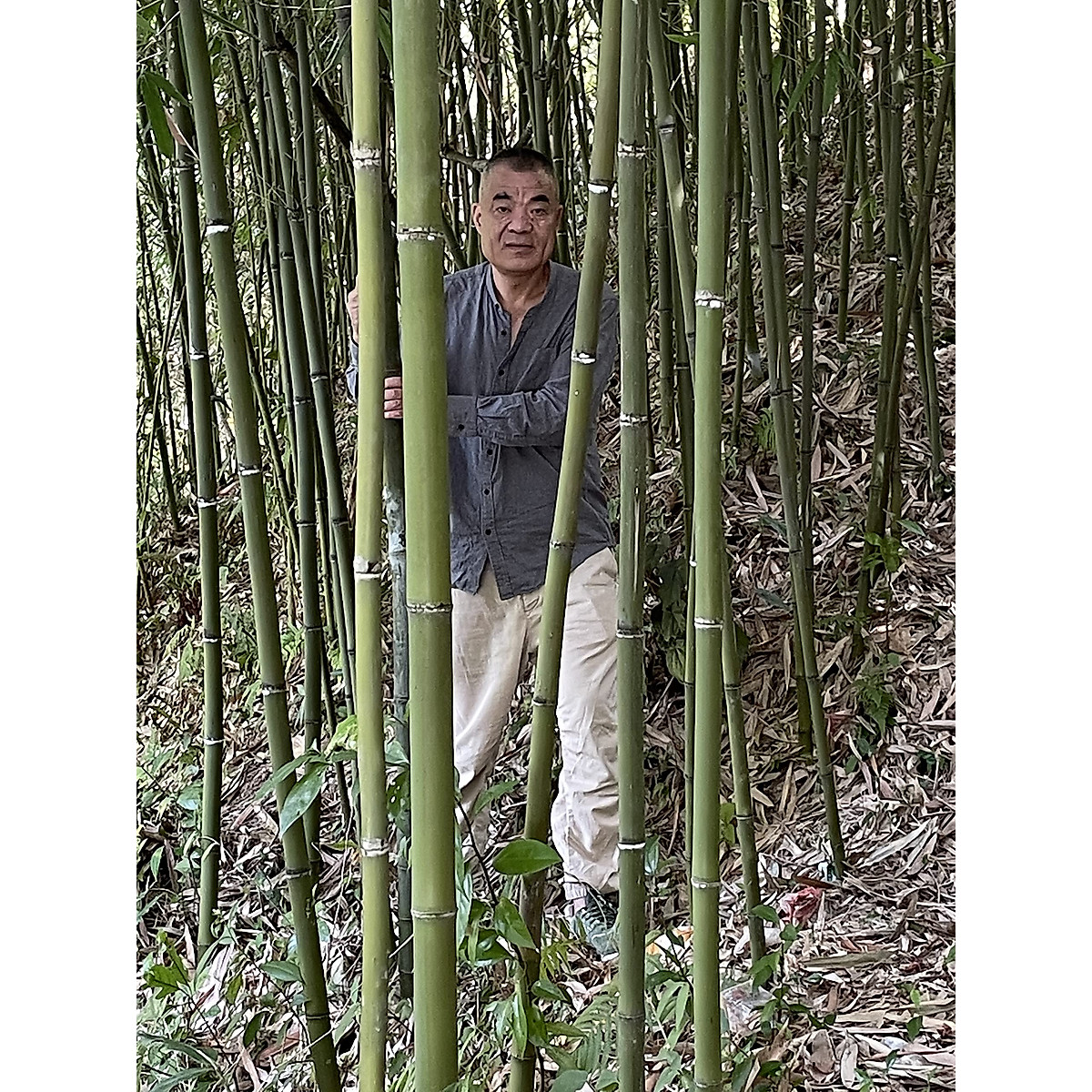 Zhu Bamboo Fly Rod Blank 2 Piece 2 Tips with NS ferrules (7'0'' #4), Silver