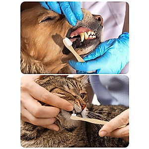 ECOETBOO Dog Toothbrush 6 Pack, Pet Cat Bamboo Toothbrushes, Double-Sided Small and Large Head Toothbrush for Dogs Cats, Biodegradable Eco-Friendly Dog Tooth Brushing Kit