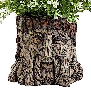 Bits and Pieces - Tree Face Garden Planter - Durable Polynesian Indoor-Outdoor Urn for Plants - Forest Inspired Whimsical Garden Décor