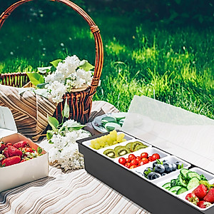 AJinTeby Condiment Caddy with Lid, Ice Chilled 6 Trays Topping Containers of Fruit Veggie, Plastic Storage Food Containers for Bartending and Restaurant Supplies