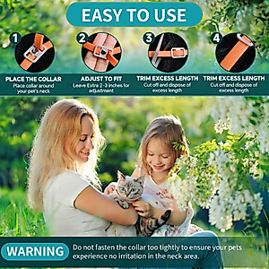 4 Pack Flea Collar for Cats, Cat Flea and Tick Collar 8 Months Cat Flea Collar Treatment Prevention, Adjustable Waterproof Cat Flea Collar Kitten Natural Tick and Flea Collar for Cat (Oragne&Green)