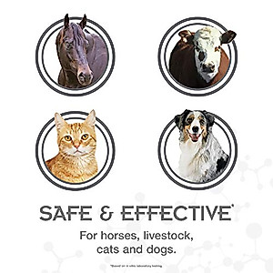 Farnam PuriShield Horse Wound Care, Intensive Care Gel Promotes Healing, Long Lasting Relief and Protection 12 Ounces