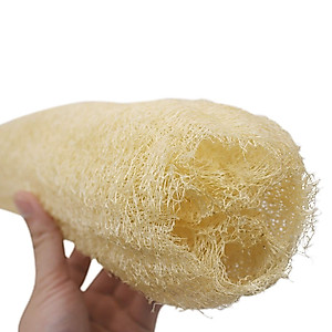 Natural Organic Loofah Sponges Large Exfoliating Shower Bath Loofah Luffa Loofa Body Scrubbers Sponges for SPA Beauty Bath and Radiant Skin, Pack of 4