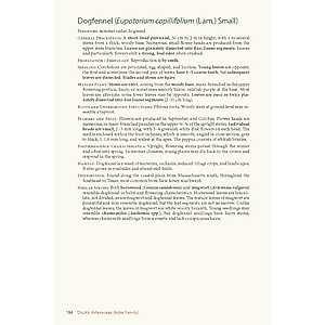 Weeds of the Northeast