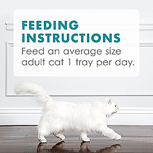 Purina Fancy Feast Wet Cat Food Complement, Appetizers Light Meat Tuna With a Scallop Topper - (10) 1.1 Oz. Trays