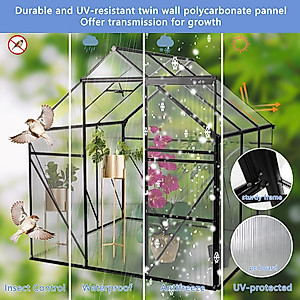 LUSPAZ 6x6ft Black Polycarbonate Greenhouse with Raised Base and Anchor Heavy Duty Aluminum Walk-in Greenhouse for Outdoor Backyard All Season Gardening Solution