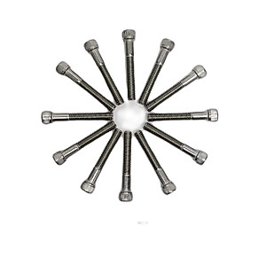 Z Whip SBF Stainless-Steel Intake Manifold Bolt Kit Stainless Steel Socket Cap BOLTS Compatible with Ford Small Block V8 Engines 260 289 302 5.0L Mustang EFI Cars and F-series Trucks SB