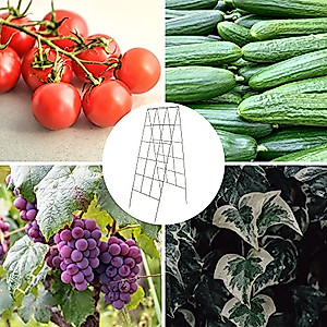 Cucumber Trellis A Frame Garden Trellis for Climbing Plants Outdoor Vegetables Flowers 2Packs