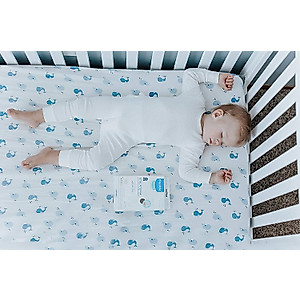 Mustela Stelatopia Skin Soothing Pajamas - Baby Pajamas for Eczema-Prone Skin - with Natural Avocado & Sunflower Oil - 12 to 24 Months,1 Count (Pack of 1)