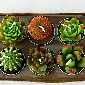 WISDOMTOY Holiday Party Succulents Mini Meat Plant Romantic Candle Decoration, Set of 6