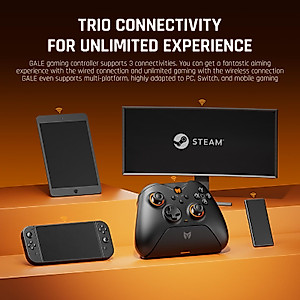 Wireless Gaming Controllers, BIGBIG WON PC Gaming Controller Custom Button, 6-Axis Gyro, Dual Shock, Macro, Turbo, 2.4GHz Dongle Gamepad for Windows 10/Android/iOS/Switch Bluetooth Controller Black