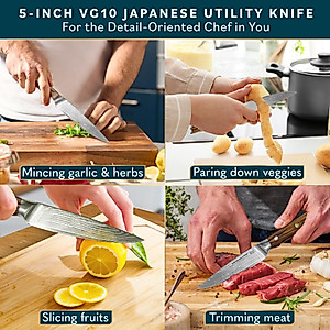 Home Hero Japanese Utility Knife Collection - VG10 Damascus Steel Triple Rivet Ultra Sharp 67 Layers Kitchen Knife with Ergonomic Rosewood Handle - Unique Gift for Men & Women (5 Inch Utility Knife)
