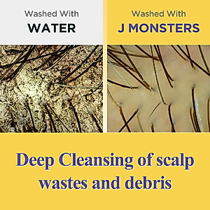 Dr. Groot J Monsters Scalp Purifying Shampoo Set (Herbal Citrus, 16.1fl oz) - Odor-Masking Hair Care Set for Thin Hair, Biotin, Sulfate-Free | Korean Skincare