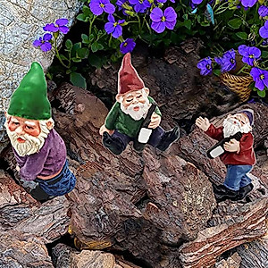 Fairy Garden Accessories Cute Dwarfs Statues Miniature Figurines for Outdoor or House Desktop Decor Camping Dwarfs Kit of 4 pcs