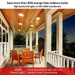 Sengled Motion Sensor Outdoor Light Bulbs, 150 Watt Equivalent LED Motion Detector Flood Light Bulbs for Outside, E26 Base PAR38 Motion Light Bulbs 3000K Warm White, 1500LM, Waterproof, (Pack of 4)