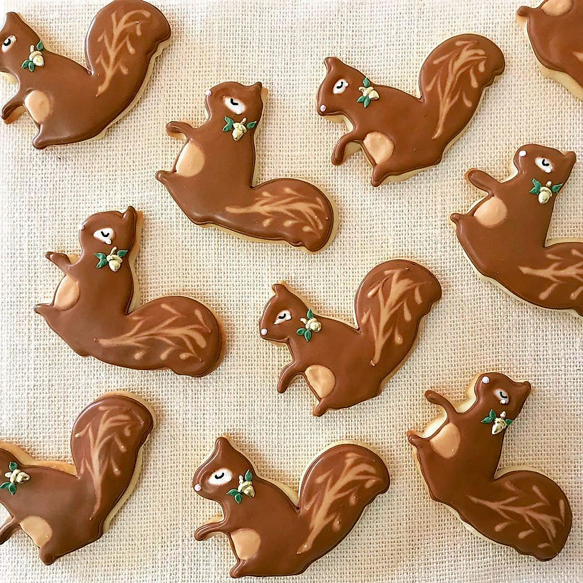 KAISHANE 5PCS Animal Cookie Cutter Set - Fox Owl Raccoon Squirrel Forest Woodland Animal Cookie Cutters Molds for Kids
