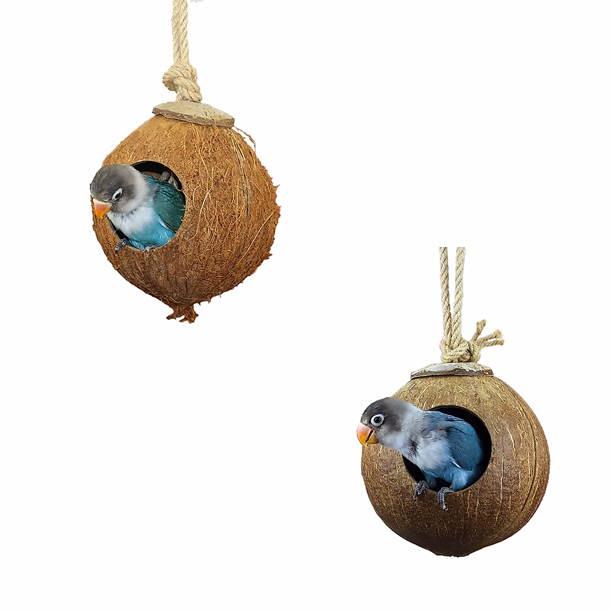 SLDHFE Coconut Bird Nest Hut,Natural Coconut Shell Bird Nest House,Coconut Bird Shell Breeding Nest for Hamster,Bird Cage Accessories,Pet Bird Supplies