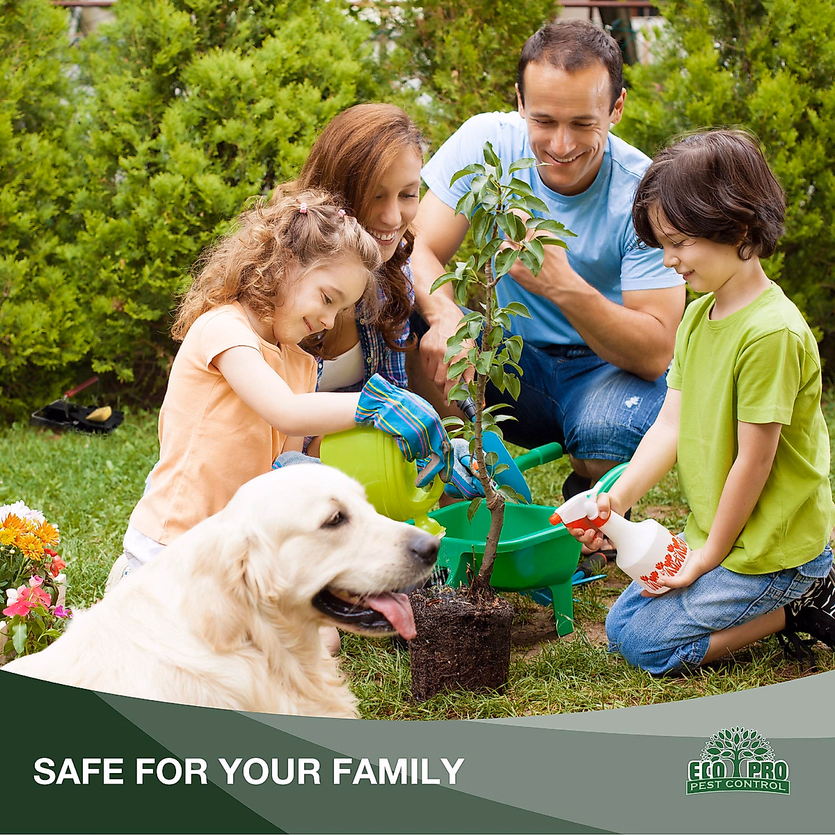 Mouse Trap by Eco Pro Pest Control | 6-Pack Reusable Small Rodent Traps | Indoor & Outdoor Mouse Traps | Easy Set Up, Quick Snap Kill Mice Traps (Bait Not Included) | Powerful Pest Control Traps