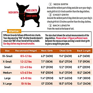 LOPHIPETS 100% Cotton Dog Tee Shirt for Small Dogs Teacup Chihuahua Yorkie Puppy Clothes-Blue/XXS