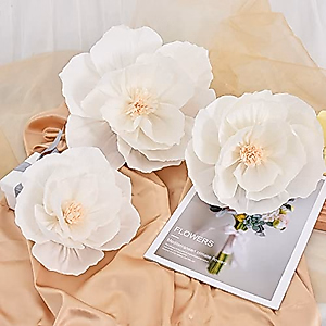 BEISHIDA 6 Pieces Paper Flower Decoration Supplies for Party Decoration, Wedding Decoration, Background Wall, Room Decoration, Bridal Shower, Baby Shower (White)