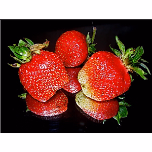 CEMEHA SEEDS - Giant Strawberry Fresca Everbearing Berries Indoor Non GMO Fruits for Planting