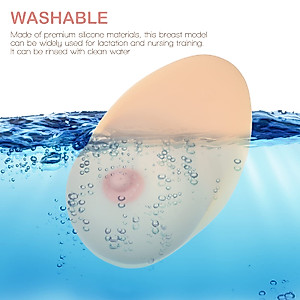 iplusmile Human Female Silicone Breast Silicone Women Breast Model Lactagogue Breastfeeding Educational Tool for Lactation Teaching Nursing Trainning (22x13x10cm)