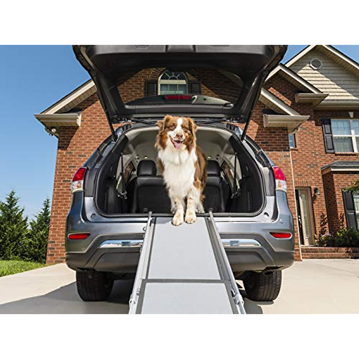 PetSafe Happy Ride Telescoping Dog Ramp for Cars, Trucks, & SUVs - Extends 39 to 72 Inches - Portable Pet Ramp for Large Dogs - Lightweight Aluminum Frame Weighs 13 lb, Supports up to 400 lb