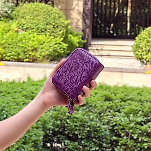 Small Soft Leather Wallet For Women, RFID Blocking Ladies Card Holder with Zipper Pocket C-B-B2 (Brown)