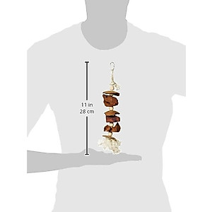 Prevue Hendryx Naturals Physical & Mental Naturals Mangrove Bird Toy 62805