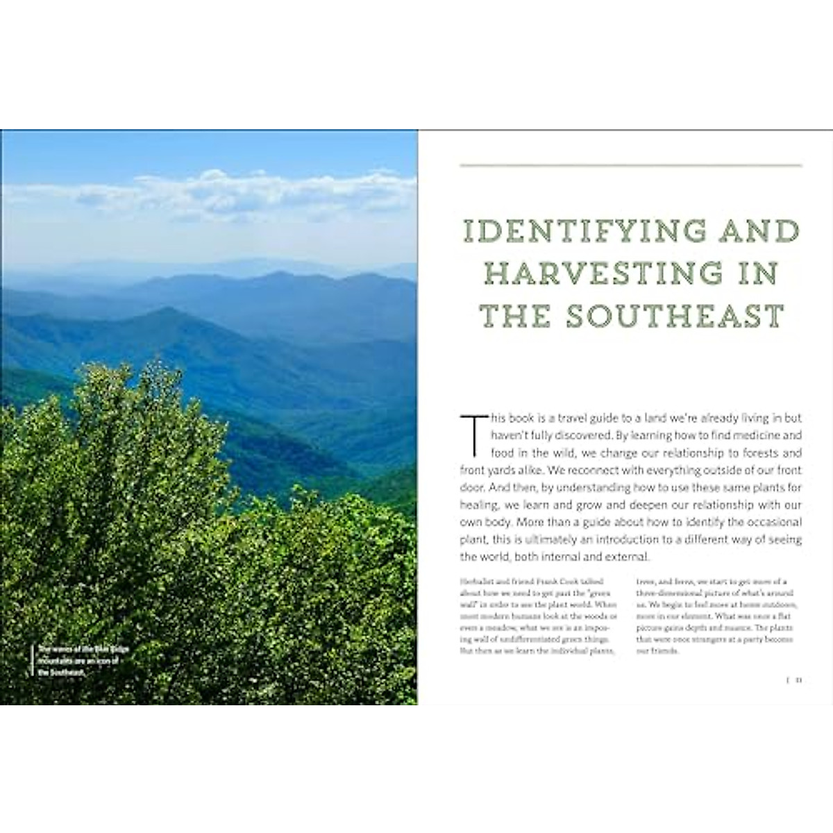 Southeast Medicinal Plants: Identify, Harvest, and Use 106 Wild Herbs for Health and Wellness (Medicinal Plants Series)