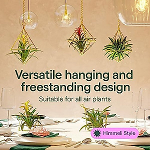 Air Plant Holders w/Hooks & Chains - Indoor Air Plants and Holders Sets, Freestanding & Wall Hanging Planters - 5 Geometric Shapes Air Plant Holder - Hanging Air Plant Holder