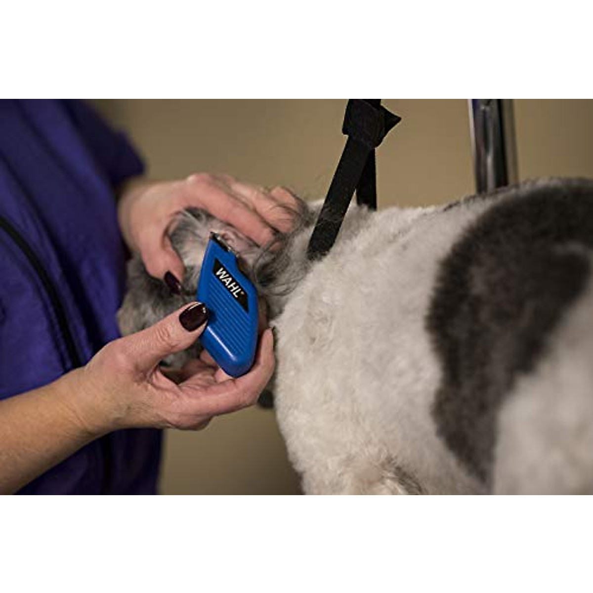 Wahl Professional Animal Pocket Pro Equine Compact Horse Trimmer and Grooming Kit, Blue (#9861-900)