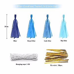 Binpeng Tissue Paper Tassel DIY Hanging paper decorations Party Garland Decor for Party Decorations Wedding,Festival,Baby Shower Decoration 35c m20PCS