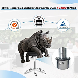 Saddle Stool Rolling Ergonomic Swivel Chair for Dental Office Massage Clinic Spa Salon,Adjustable Hydraulic Stool with Wheels (Without Backrest, Black)