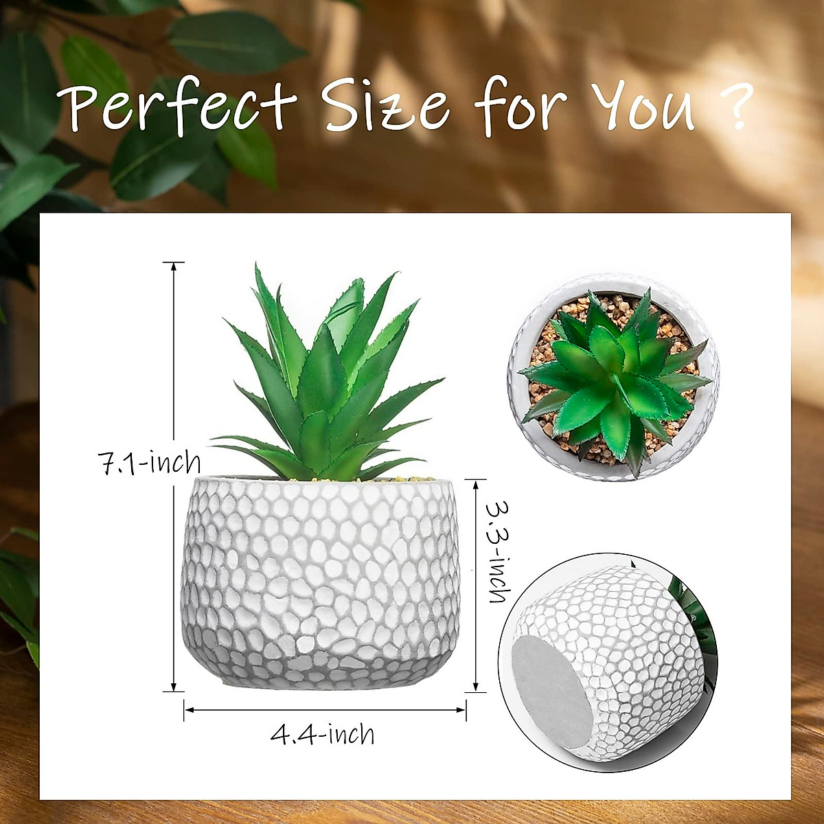 CADNLY Small Artificial Plants in Pots - Fake Plants for Bathroom Office Desk - Faux Succulents Succulents Decor 1 Pack