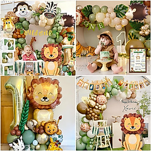 Daidle Wild One Birthday Decorations, 1st Birthday Decorations for Boy or Girl, First Birthday Decorations, 1st Birthday Photo Banner, Balloon Box, Jungle Theme Safari Birthday Decorations Boys Girls
