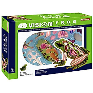 TEDCO 4D Vision Frog Anatomy Model