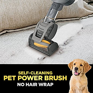 Shark HH202 Ultralight Corded Handheld Vacuum with Self-Cleaning Power Brush & Crevice Tool, Hypervelocity Suction & Removable, Perfect for Pets, Teal, 0.35 Qt. Dust Cup