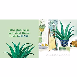 My First Book of Houseplants: Helping Babies and Toddlers Connect to the Natural World from the Intimacy of Home. Promotes a Love for Plants and the Environment. (Terra Babies at Home)