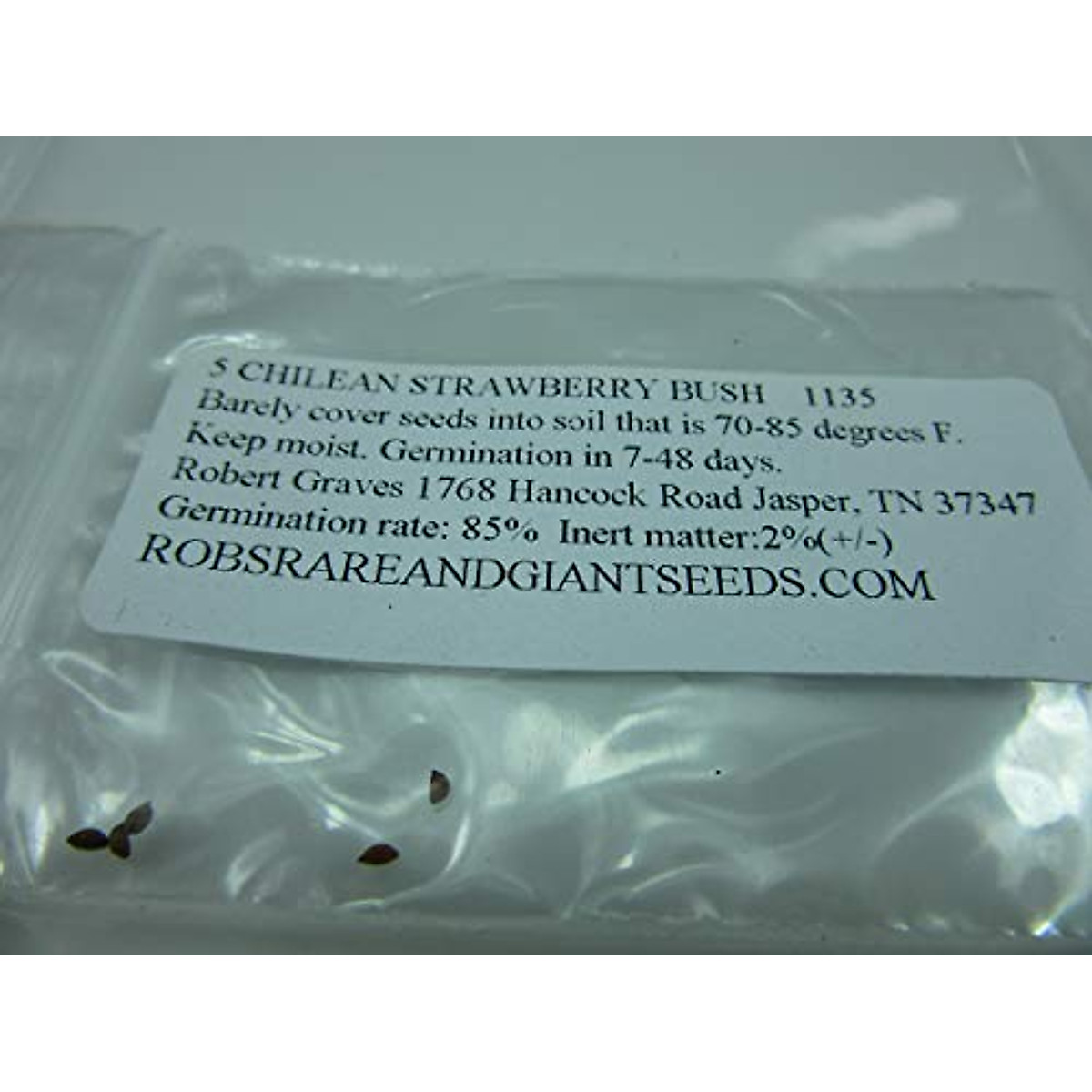 1135-Chilean Strawberry Bush (Ugni molinae) Seeds by Robsrareandgiantseeds UPC0764425787488 Non-GMO,Organic,Historic Plants, Bonsai,1135 Package of 5 Seeds