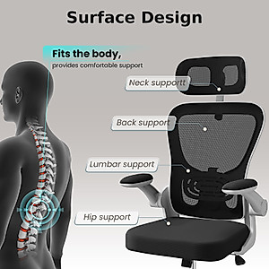 Ergonomic Office Chair, High Back Home Desk Chair with Adjustable Lumbar Support and Headrest, Breathable Mesh Swivel Task Chair, White Executive Computer Chair, Black and White