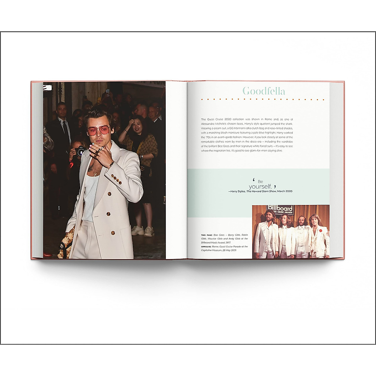 Harry Styles: And the Clothes he Wears