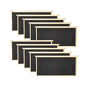 Hoover Hives 10 Frame Langstroth Deep Brood Box Dipped in 100% Beeswax Includes Wooden Frames & Waxed Foundations (Assembled)