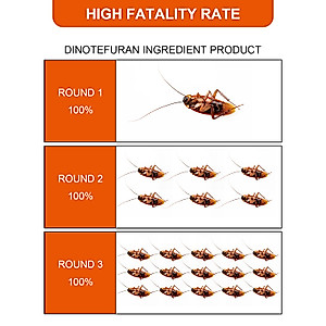 Dawhunt Cockroach Gel Bait Station Roach Killing (BS-10 Counts)