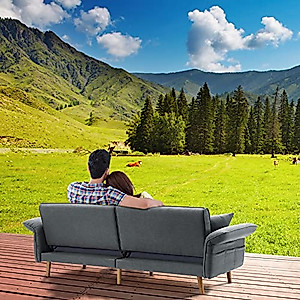 DENOSEN First-Class Cabin Futon Couch Bed with Convertible Back and Armrests, Includes 2 Free Pillows and Supports Up to 600lbs: Modern 3 Seater Sleeper with Wooden Leg Sofabed, Grey